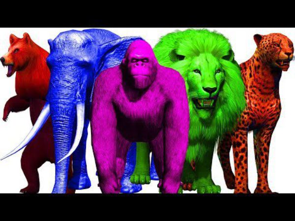 Learn Colors With Wild Animals For Children Learn Colors With Fun ...