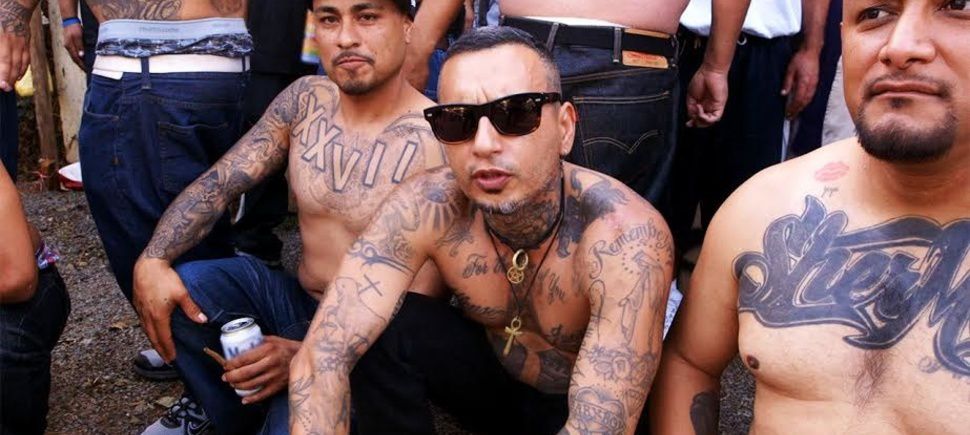 #cholo on LockerDome