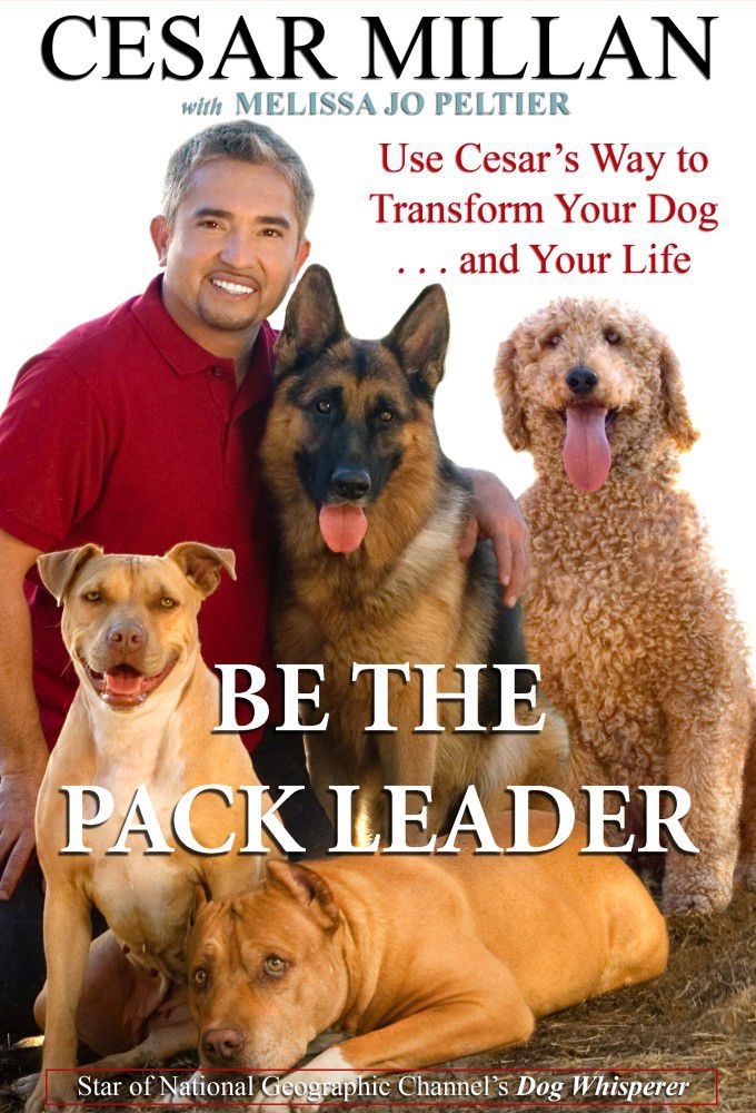 Watch Cesar Millan's Leader of the Pack Watch Cesar Millan's Leader of the Pack
