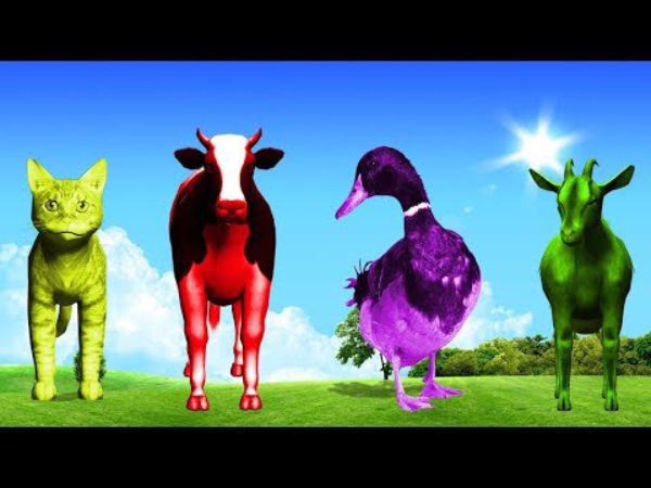 Learn Colors Farm Animals Rhymes For Kids Color Cow Cartoon For ...